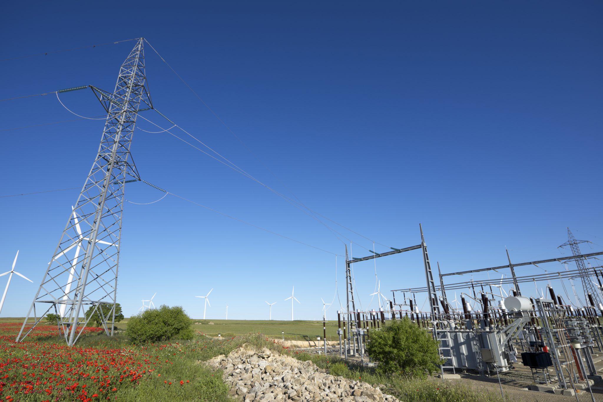 Publication Database - Global ESCO Network